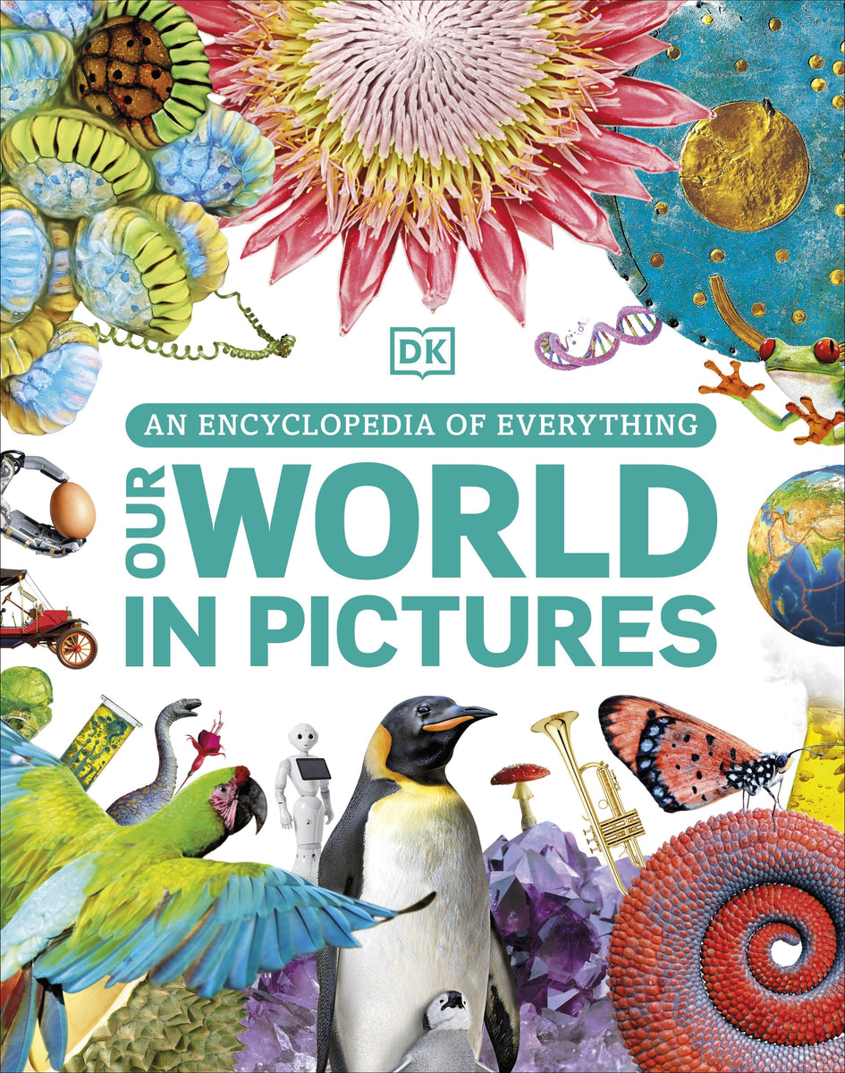 Our World in Pictures: An Encyclopedia of Everything – GoGoKids Toy ...