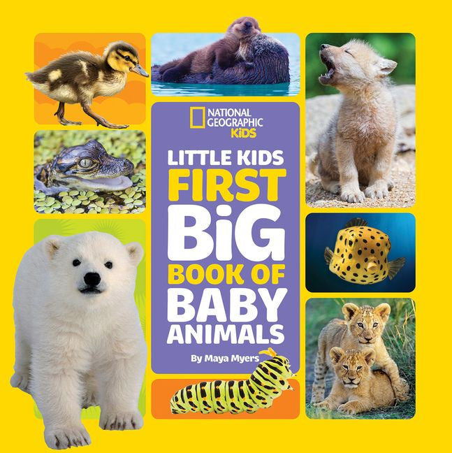 Little Kids First Big Book of Baby Animals – GoGoKids Toy Shop – Buy ...